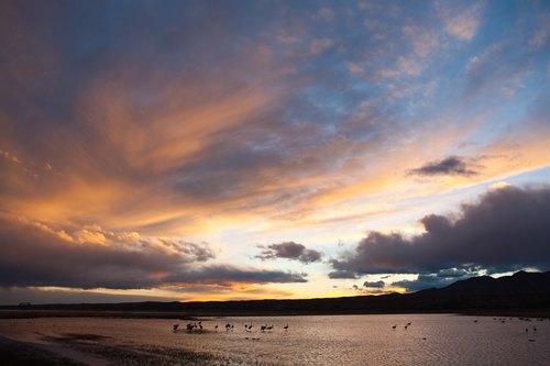 Bosque Landscapes :: Gary Houchin Photography