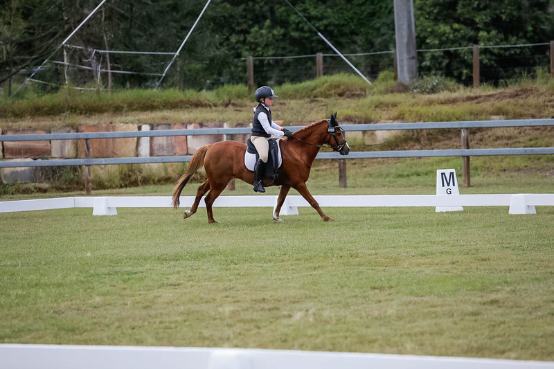 JPC CT May 2025 -2543 :: JPC CT May 2025 Dressage :: DKA Photography