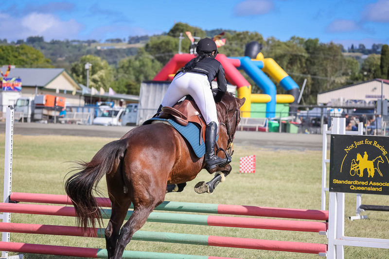 Marburg Show 2025 80-2529 :: Marburg Show 2025 80 :: DKA Photography