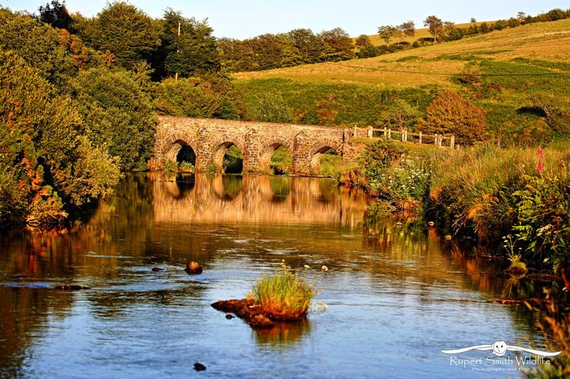 Landacre--Bridge :: Landscapes :: Rupert Smith Wildlife cameraman and ...