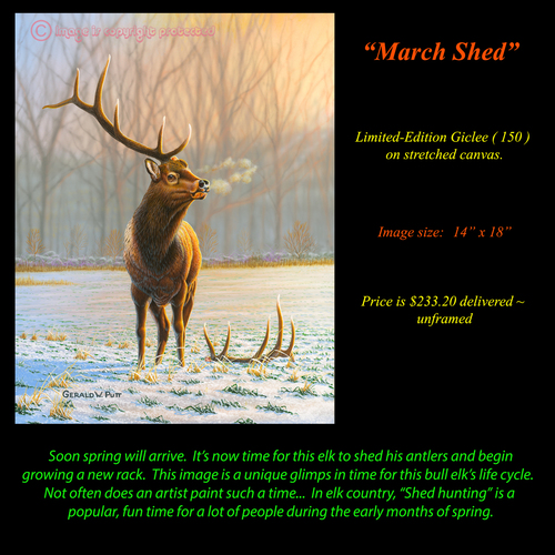 Home :: www.geraldputtart.com