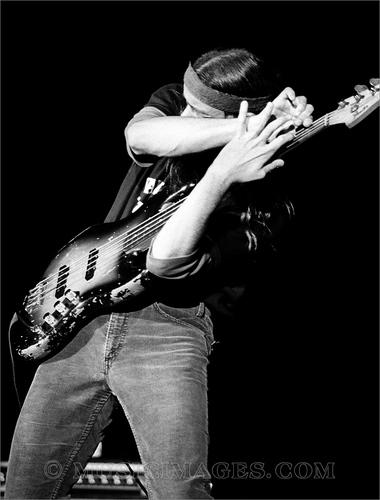 Jaco Pastorius Wallpaper