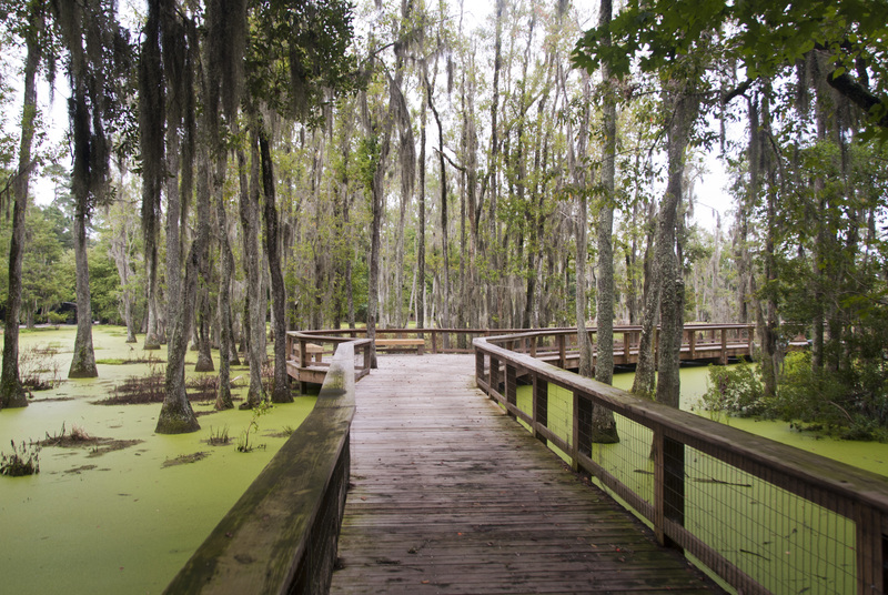120Boone Plantation wetlands(1) :: Boone Plantation Wetland