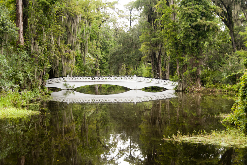 122Boone Plantation wetlands(1) :: Boone Plantation Wetland