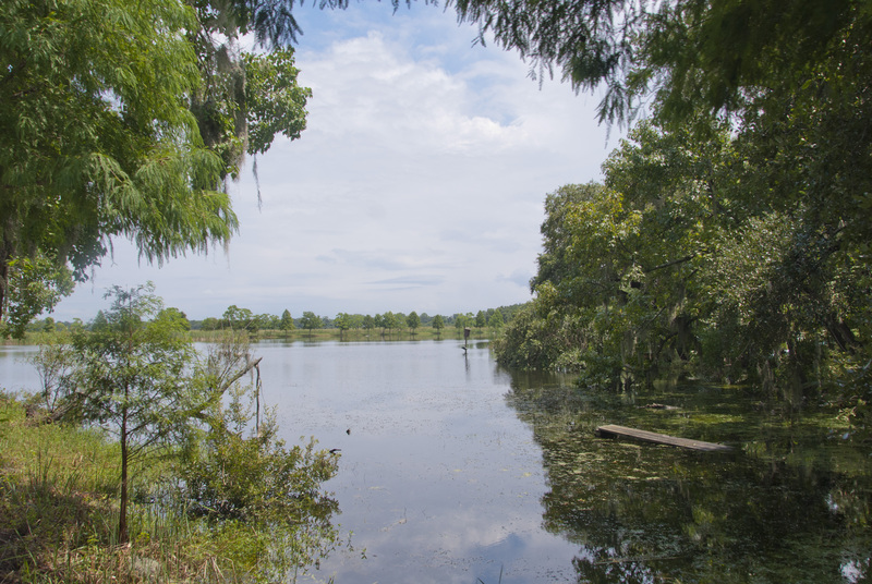 123Boone Plantation wetlands(1) :: Boone Plantation Wetland