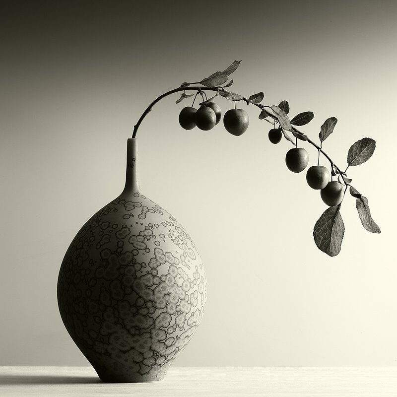 Low Hanging Fruit :: Fine Art Photography by Geoffrey Ansel Agrons