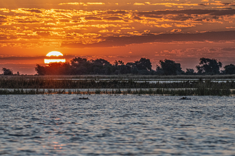 Chobe River Sunset(1) :: Africa - 2022 :: Far Out Photos