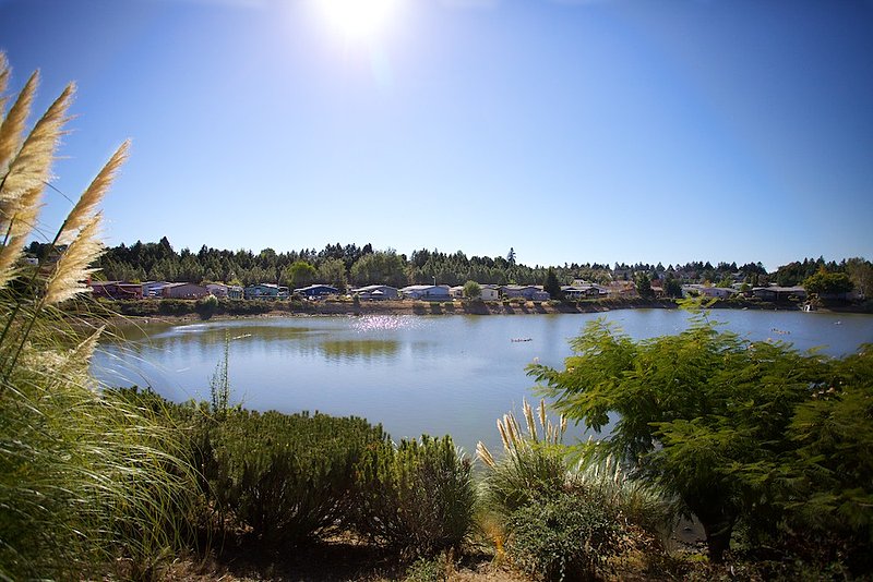 Cook Lake :: Architecture & Community :: Kris Andrews Photography