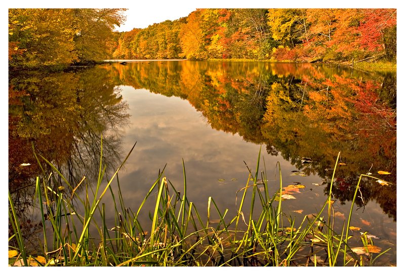 Autumn-Morning-at-Clarks-Falls :: Landscapes-Scenics-Nature :: Scenic ...
