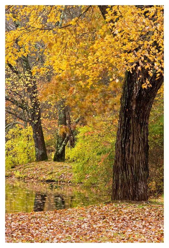 Fall-Colors-in-the-Rain :: Landscapes-Scenics-Nature :: Scenic and ...