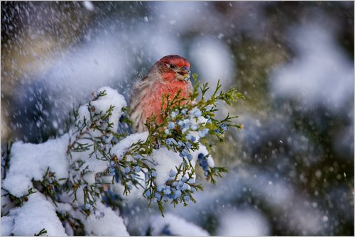 Favorites :: Tim Christie Outdoor Writer & Photographer