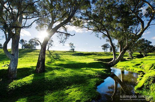 Colors of Nature :: Cleanshot Studio Photography