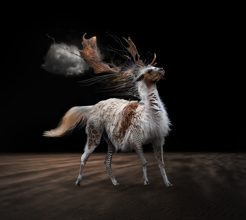 Mutant-Llama_Singlecloud :: The Mutant :: SENSEGRAPHIA FINE ART