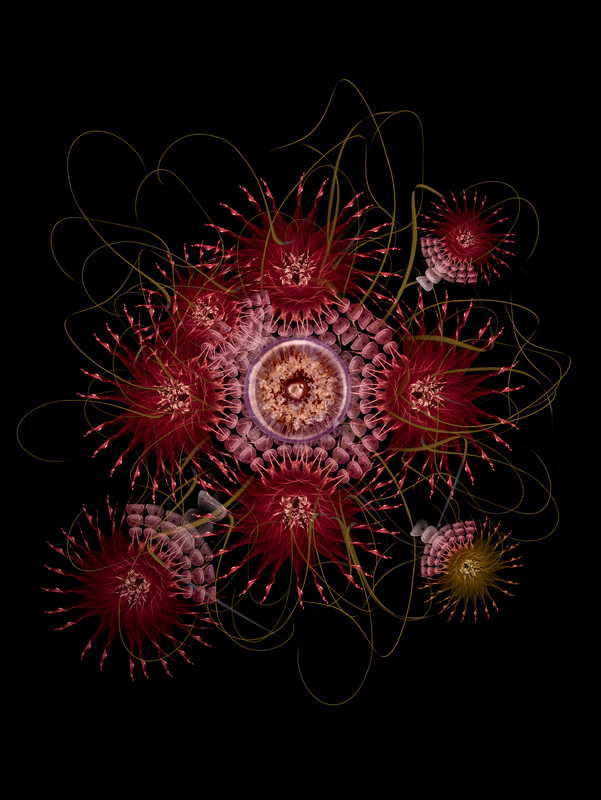 Botanical-2 :: Neo Primitive life :: SENSEGRAPHIA FINE ART