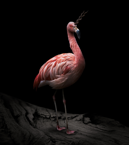 The Mutant :: SENSEGRAPHIA FINE ART