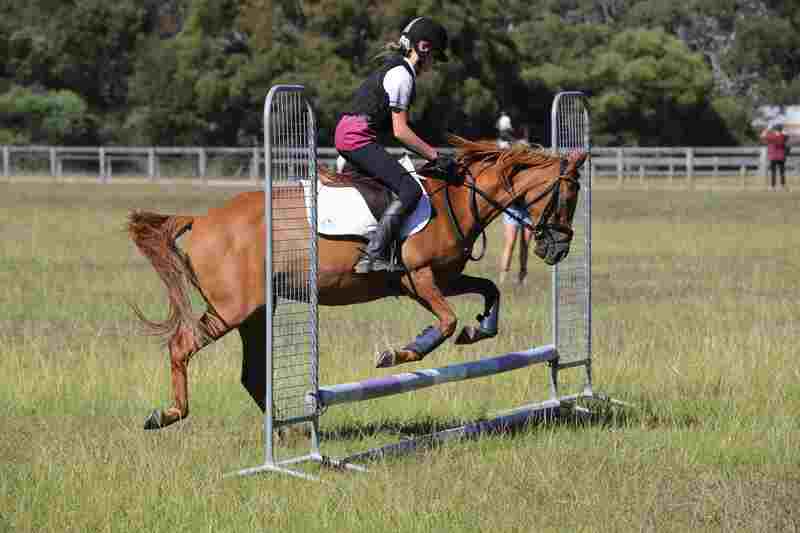 BPC_03_02_2024_0070 :: 3rd February 2024 :: whythelongfaces