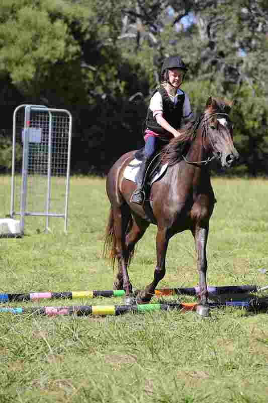 BPC_03_02_2024_0165 :: 3rd February 2024 :: whythelongfaces