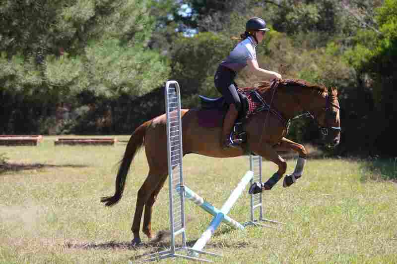 BPC_03_02_2024_0282 :: 3rd February 2024 :: whythelongfaces