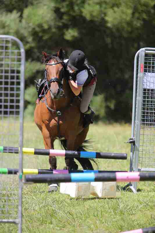 BPC_03_02_2024_0505 :: 3rd February 2024 :: whythelongfaces