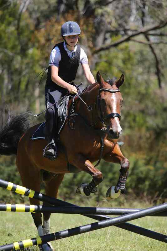 BPC_03_02_2024_0510 :: 3rd February 2024 :: whythelongfaces