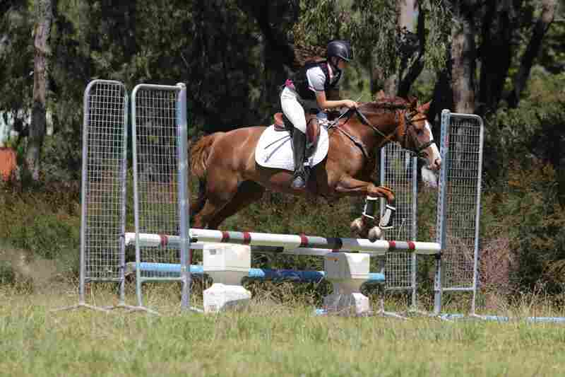 BPC_03_02_2024_0556 :: 3rd February 2024 :: whythelongfaces