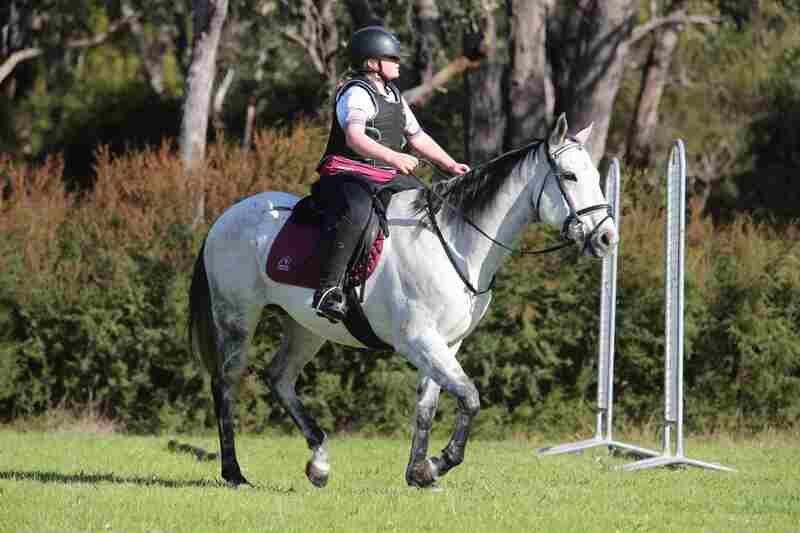 BPC_04_05_2024_0251 :: 4th May 2024 :: whythelongfaces