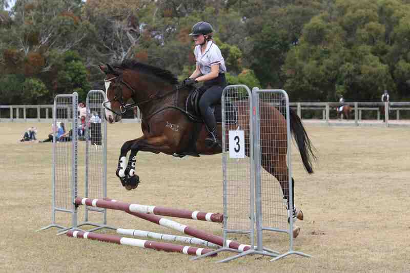 BPC_06_04_2024_0495 :: 6th April 2024 :: whythelongfaces