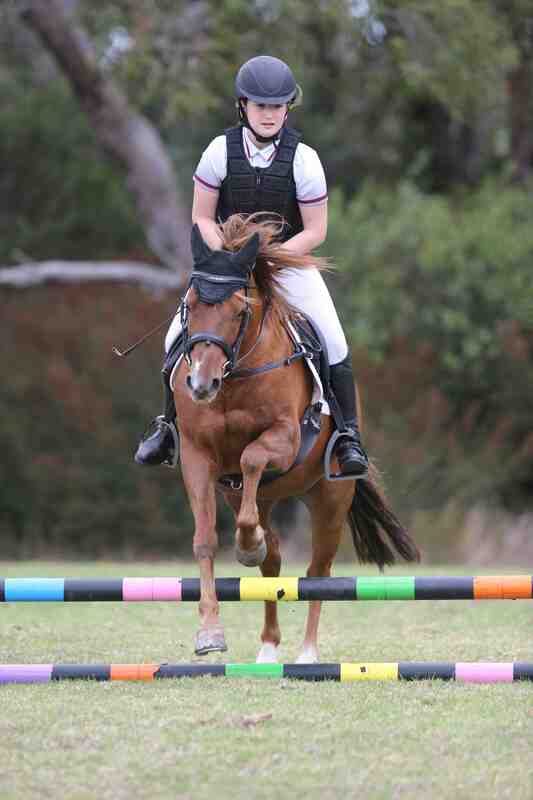 BPC_06_04_2024_1029 :: 6th April 2024 :: whythelongfaces