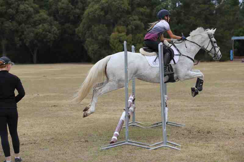 BPC_06_04_2024_1156 :: 6th April 2024 :: whythelongfaces