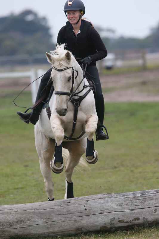 BPC_06_2024_0002 :: 6th July 2024 :: whythelongfaces