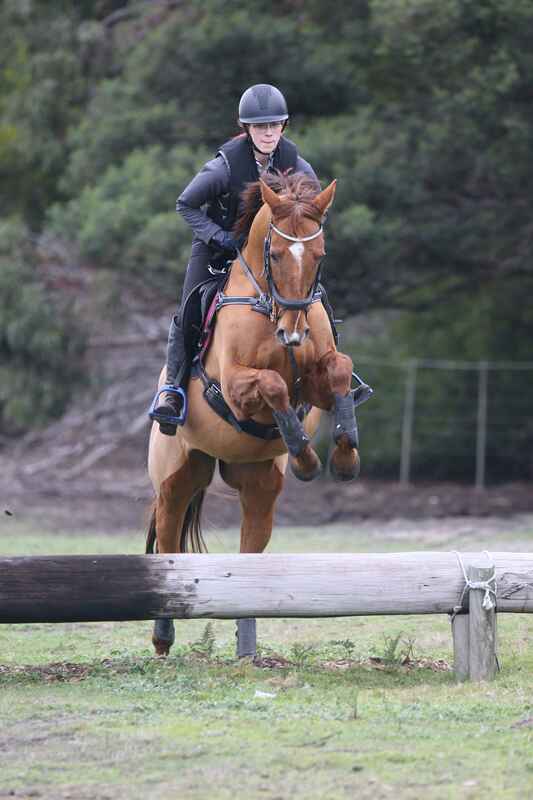 BPC_06_2024_0050 :: 6th July 2024 :: whythelongfaces