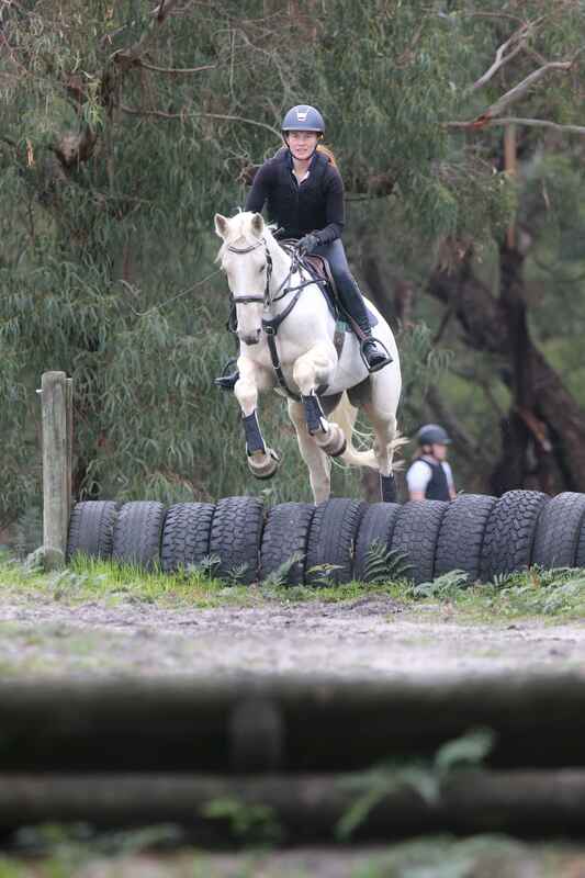 BPC_06_2024_0353 :: 6th July 2024 :: whythelongfaces