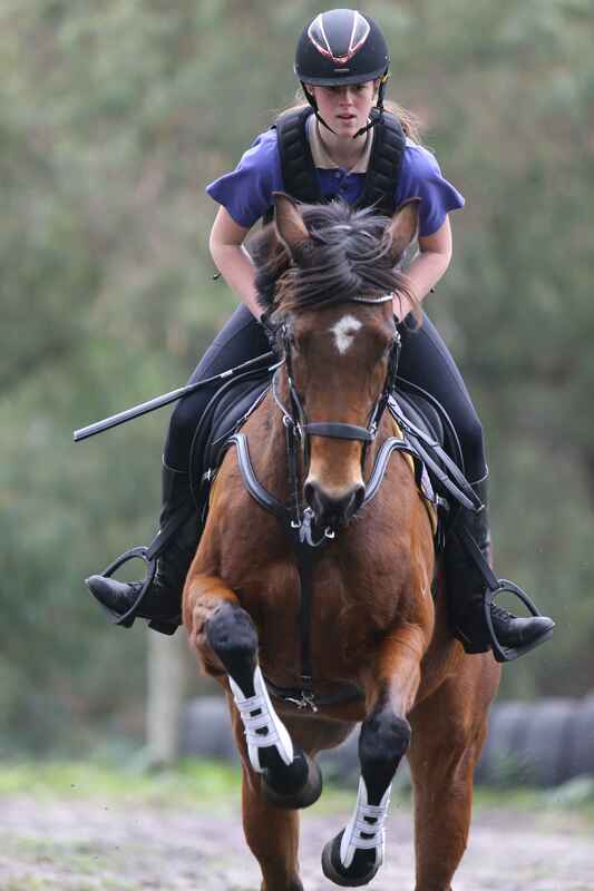 BPC_06_2024_0423 :: 6th July 2024 :: whythelongfaces