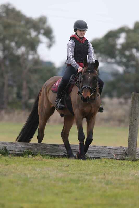 BPC_06_2024_0511 :: 6th July 2024 :: whythelongfaces