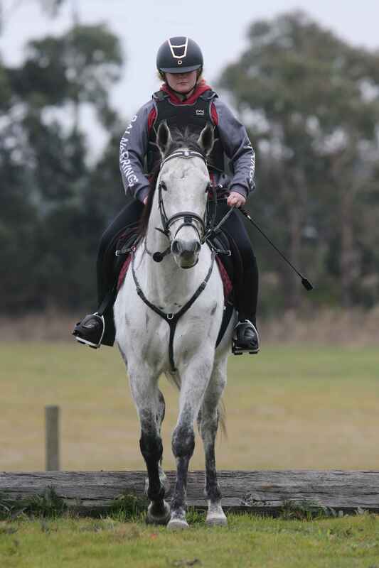 BPC_06_2024_0530 :: 6th July 2024 :: whythelongfaces