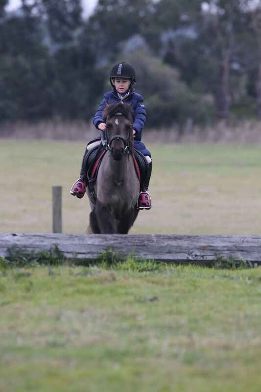 BPC_06_2024_0540 :: 6th July 2024 :: whythelongfaces