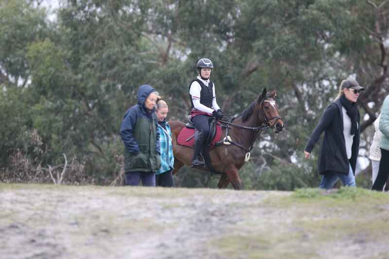 BPC_06_2024_0608 :: 6th July 2024 :: whythelongfaces