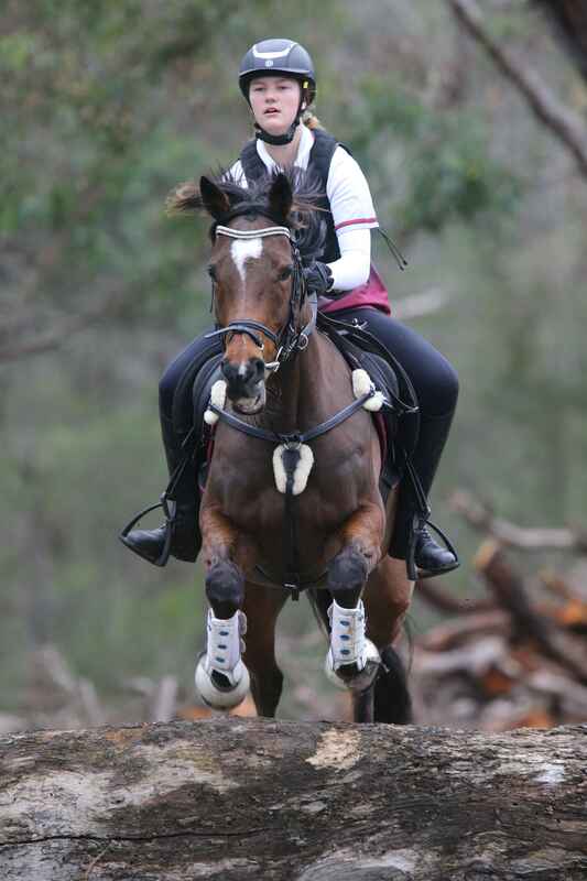 BPC_06_2024_0796 :: 6th July 2024 :: whythelongfaces