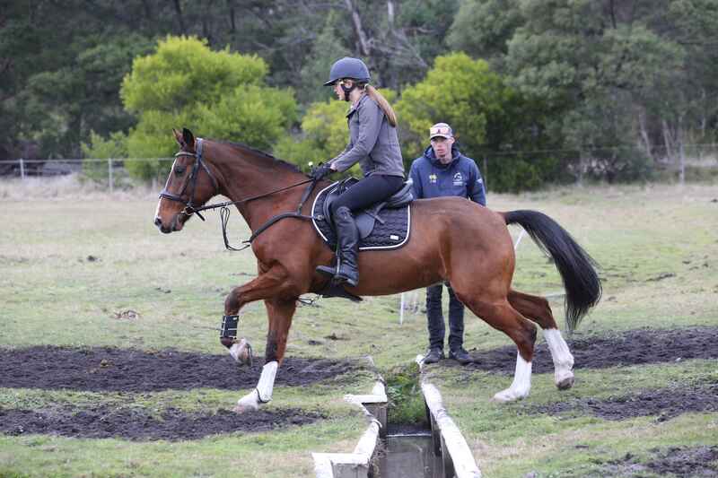 BPC_06_2024_0820 :: 6th July 2024 :: whythelongfaces