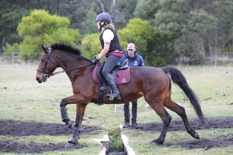 BPC_06_2024_0832 :: 6th July 2024 :: whythelongfaces