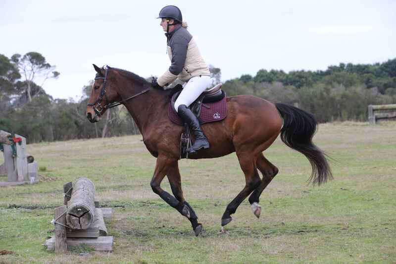 BPC_06_2024_0863 :: 6th July 2024 :: whythelongfaces