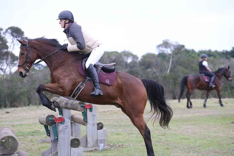 BPC_06_2024_0922 :: 6th July 2024 :: whythelongfaces