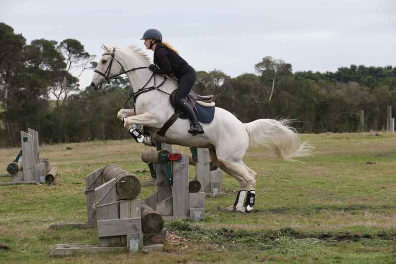 BPC_06_2024_0968 :: 6th July 2024 :: whythelongfaces