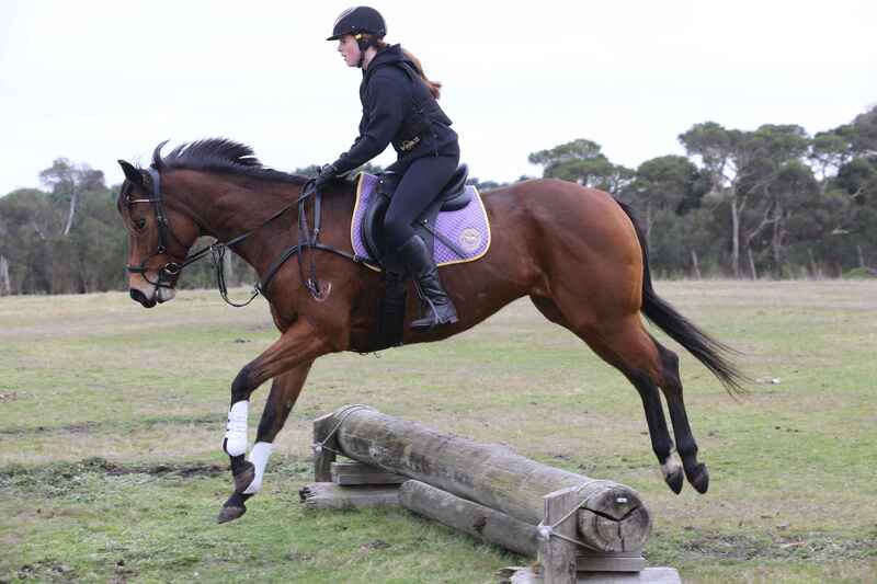 BPC_06_2024_0972 :: 6th July 2024 :: whythelongfaces