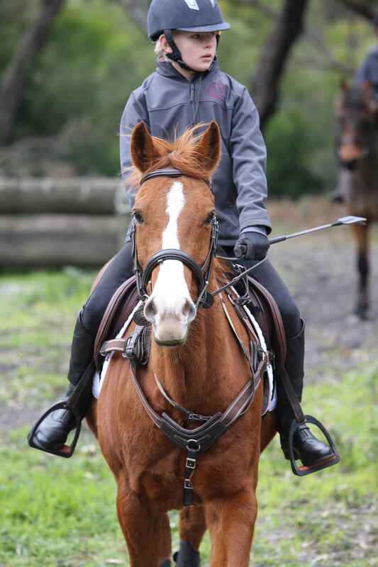 BPC_06_2024_0991 :: 6th July 2024 :: whythelongfaces