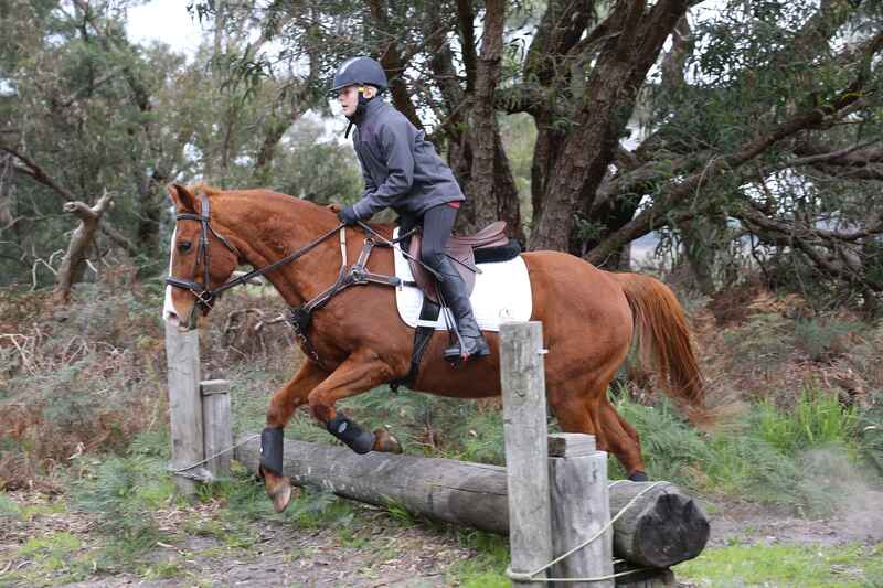 BPC_06_2024_1028 :: 6th July 2024 :: whythelongfaces