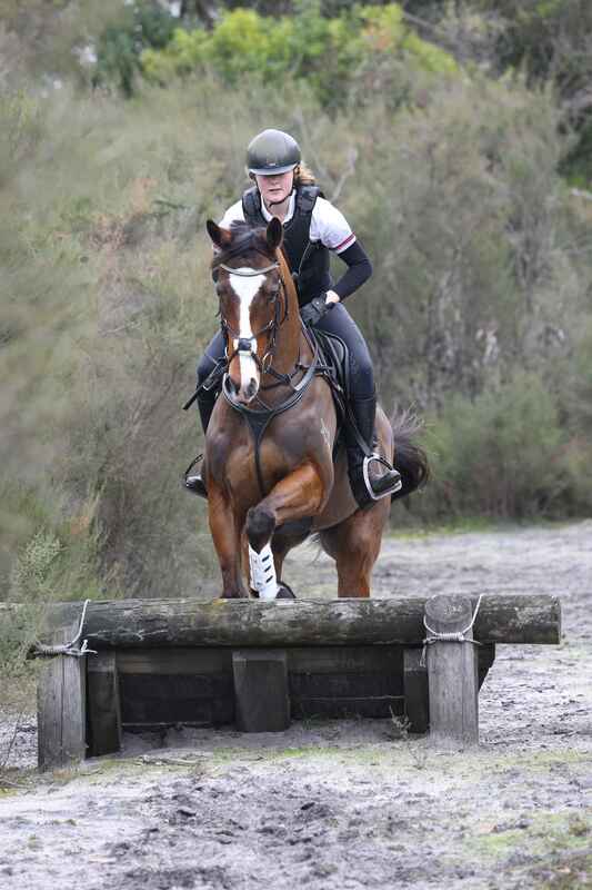 BPC_06_2024_1060 :: 6th July 2024 :: whythelongfaces