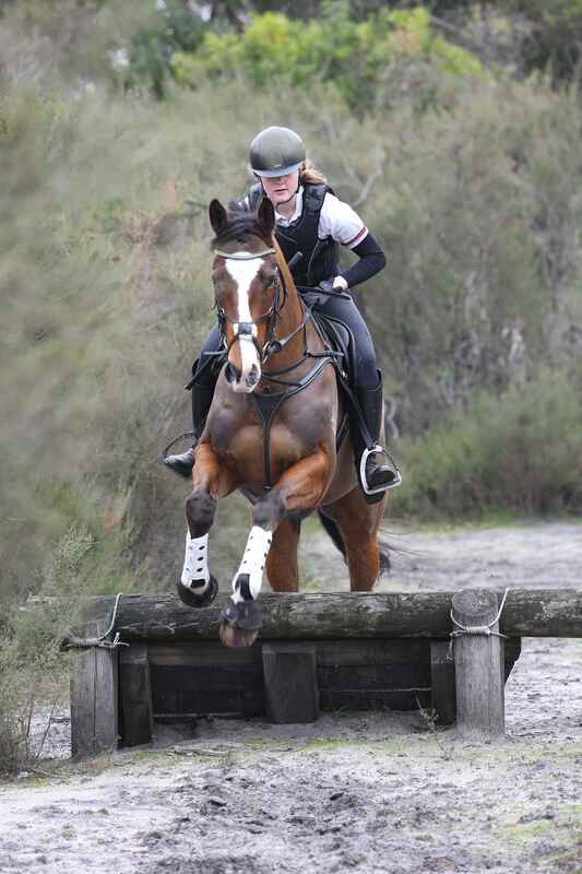 BPC_06_2024_1062 :: 6th July 2024 :: whythelongfaces