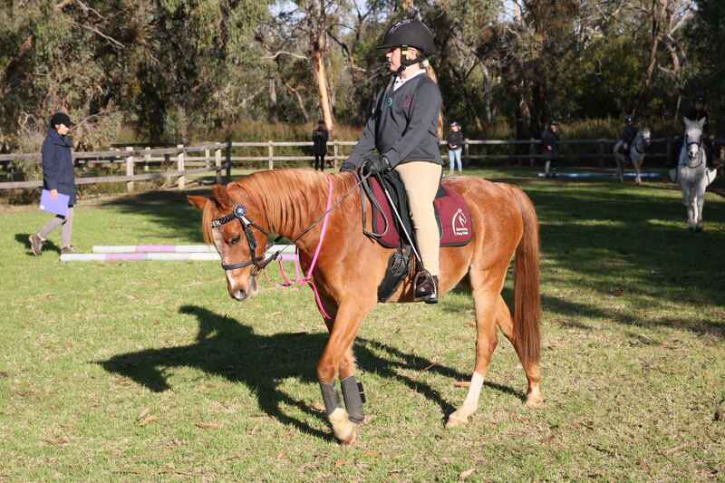 BPC_07_25_0088 :: 5th July 2025 :: whythelongfaces