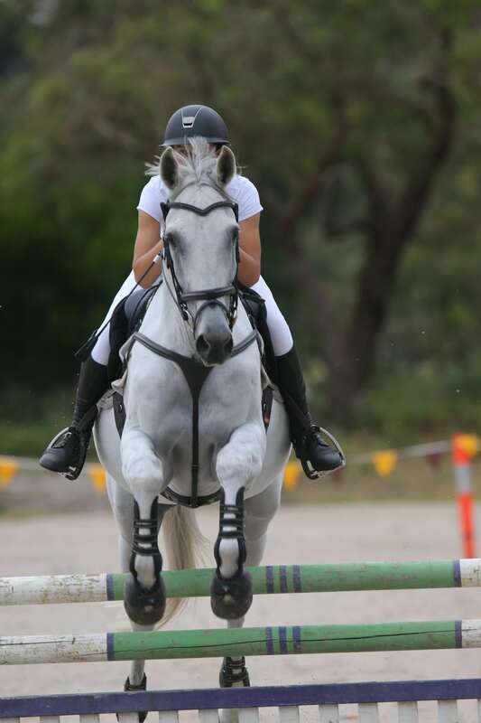 LPC_18_02_2024_0073 :: B Grade R1 18th February 2024 :: whythelongfaces